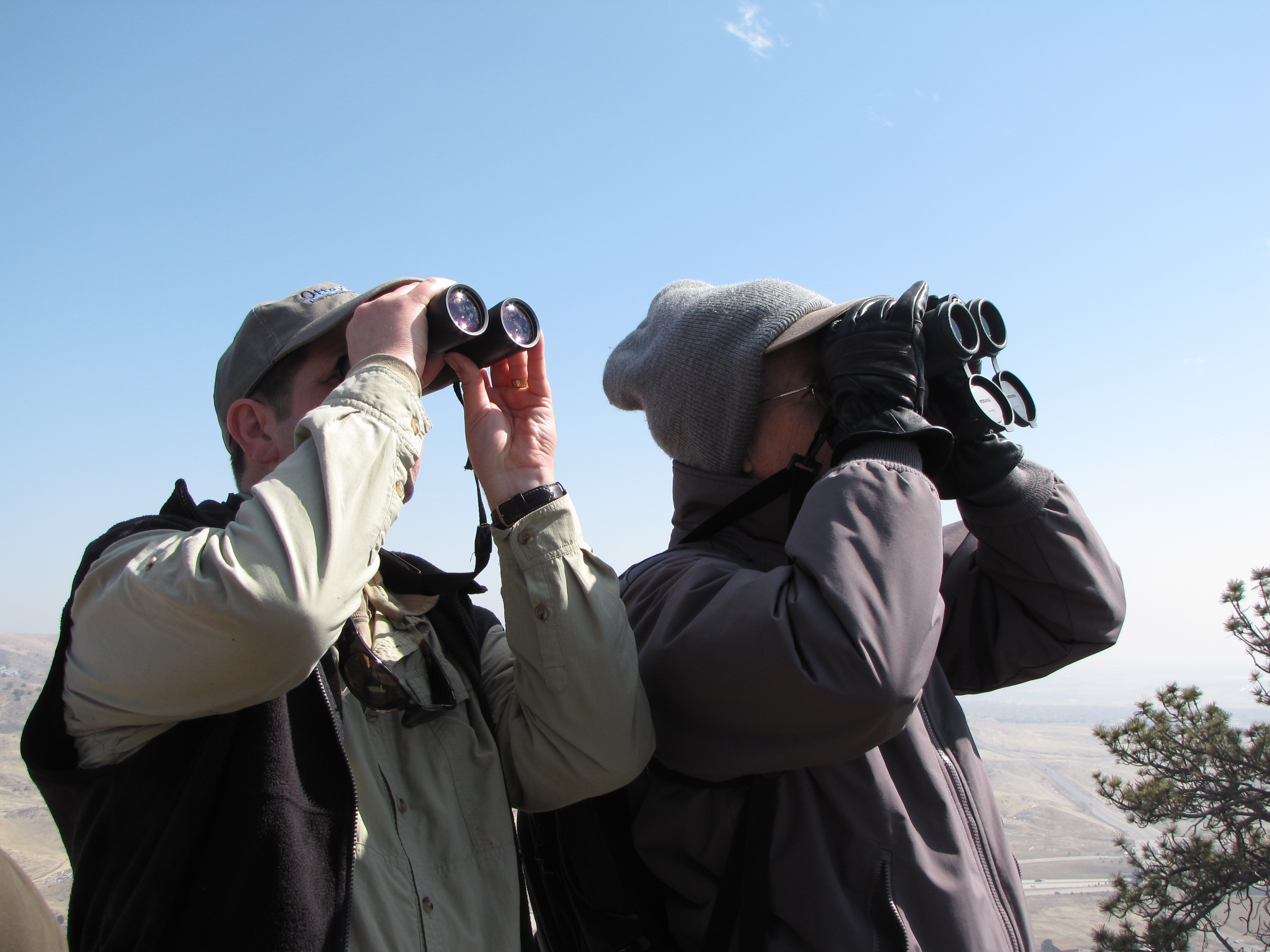 rmbo.org - /blog/wp-content/uploads/2011/02/